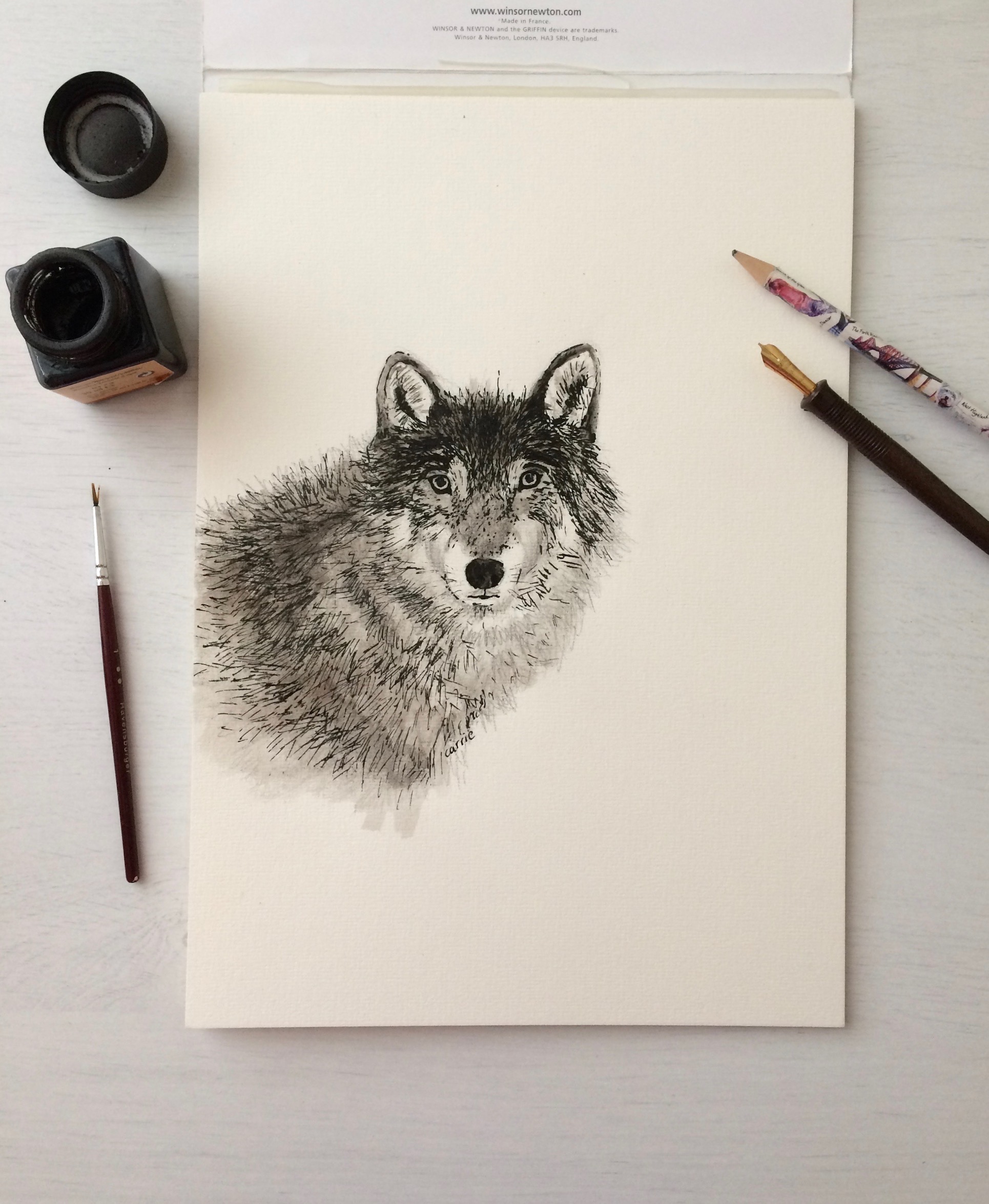 Eagle-Eye And Wise Wolfy - Carrie Sanderson Artist