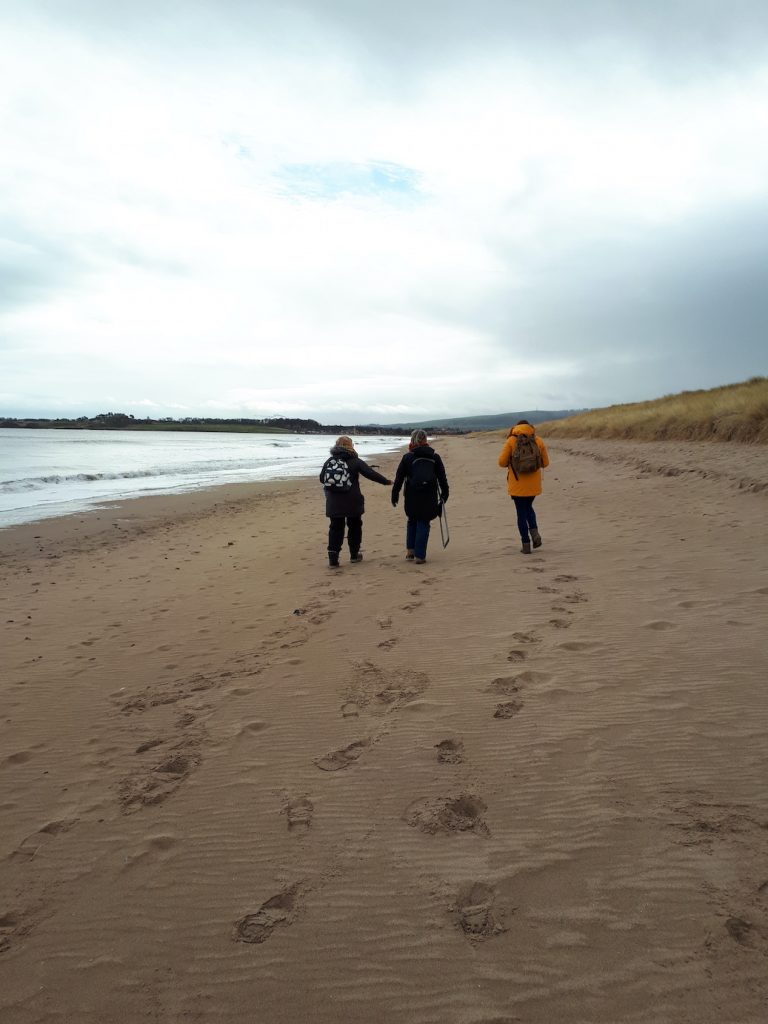 Walk + Draw - Carrie Sanderson Artist