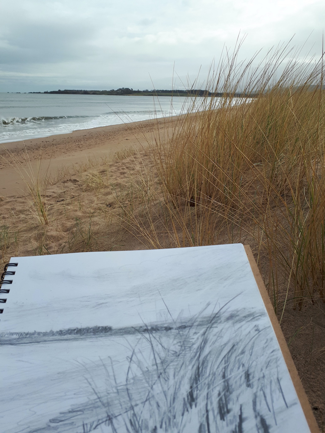 Walk + Draw - Carrie Sanderson Artist